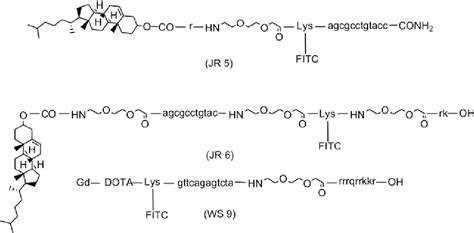 Figure 1 From Cpp Or Cholesterol Conjugation To Antisense Pna For Cellular Delivery Semantic
