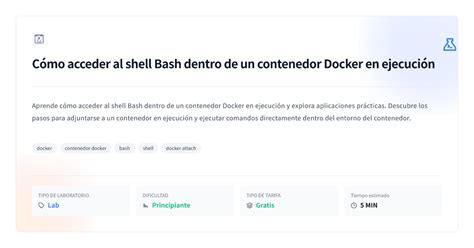 Cómo Acceder Al Shell Bash Dentro De Un Contenedor Docker En Ejecución Labex
