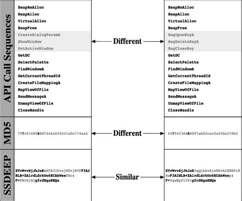 comparison of a cryptographic hash and fuzzy hash for api call