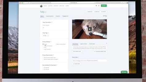 6 video hosting websites worth trying webflow blog