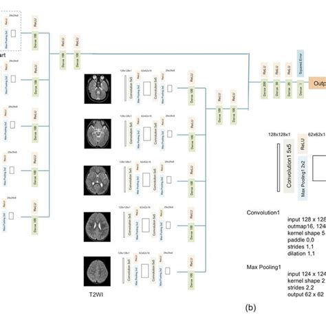 the architecture of convolution neural network download scientific