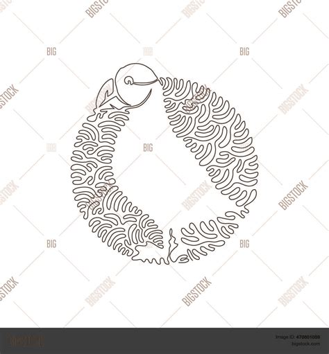 Continuous Curve Line Vector And Photo Free Trial Bigstock