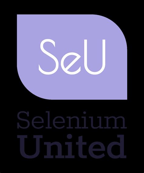 Title Mastering The A4q Certified Selenium Tester Foundation Course Your Key To Success