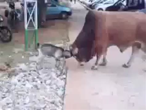 [video] Deepa Pai Posted On Linkedin