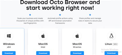 how to setup netnut proxies on octo browser