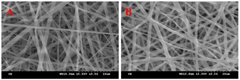 Novel Saccharomyces Cerevisiae Loaded Polyvinylpyrrolidonesio2