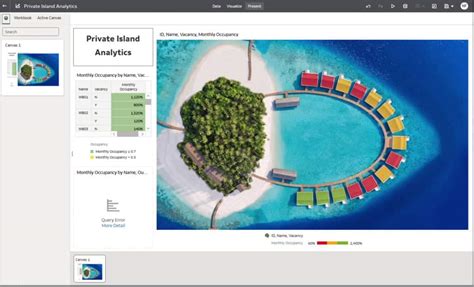 Oracle Fusion Analytics Implementation Series Customization