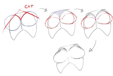 How To Draw Female Anime Female Anime Step By Step Drawing Guide By Dawn Artofit
