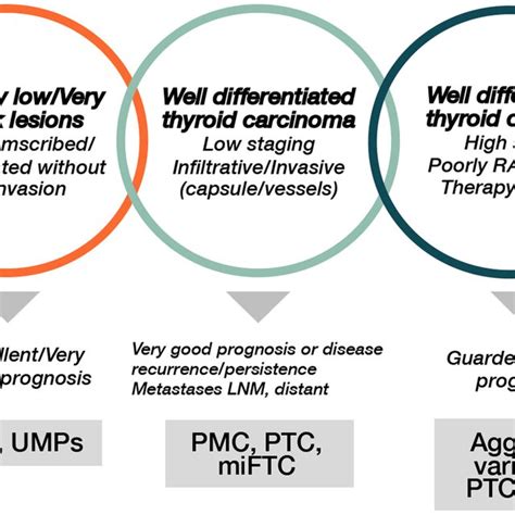 Molecular Risk Stratification Of Thyroid Carcinomas Download Scientific Diagram
