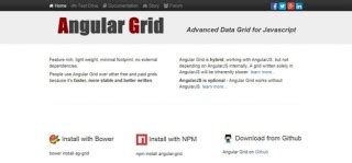 Best AngularJS Directives For Developers Code Geekz
