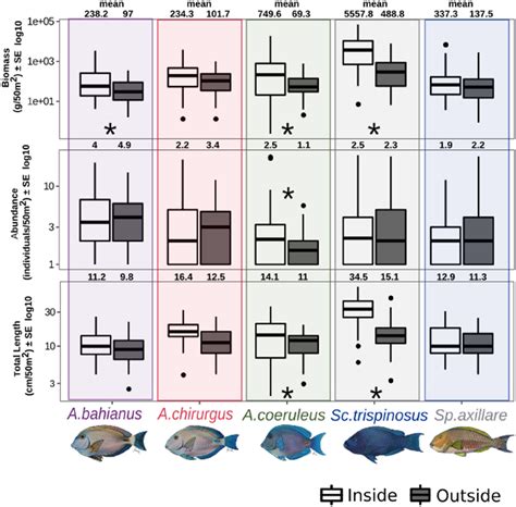 Box Plot Median Minmax 95 Confidence Limit Of Biomass Abundance