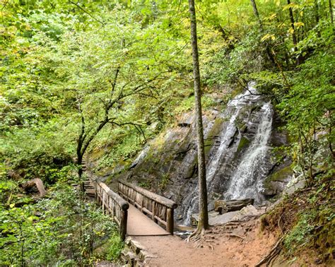 Juney Whank Falls Steph Purk