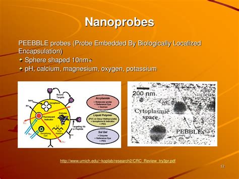 Ppt Nanosensors Powerpoint Presentation Free Download Id 6641108