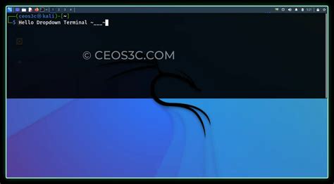 Top Things To Do After Installing Kali Linux In