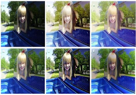 Figure 4 From A New Framework For Retinex Based Color Image Enhancement