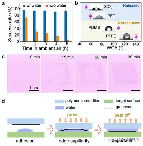 Zhejiang University Using Scalable Graphene Via Press To Peel A Strong And Storeable Tape INEWS
