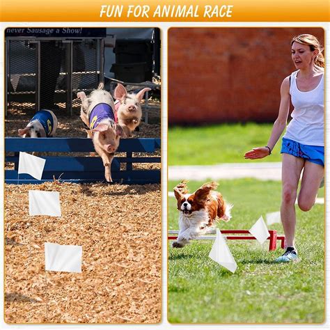 Marking Flags Marker Flags For Lawn 30 Pack Pvc Small Flags Marking