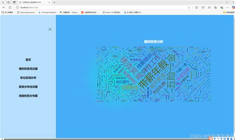 大数据项目实战 基于招聘网职位数据的可视化实验（八、数据可视化）大数据开发实战项目招聘信息可视化 Csdn博客