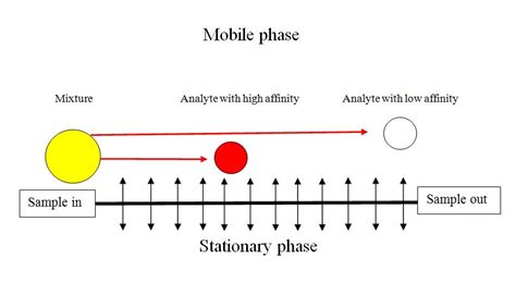 How Does Gc Work Dynamic Headspace Gas Chromatography By OpenStax Page 2 4 Jobilize