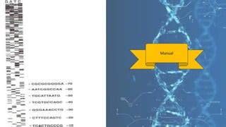 DNA Sequencing Mapping Pdf Pdf