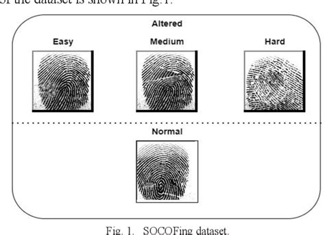 figure 1 from enhanced fingerprint alteration detection using