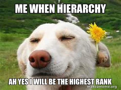 Me When Hierarchy Ah Yes I Will Be The Highest Rank Hierarchy Meme