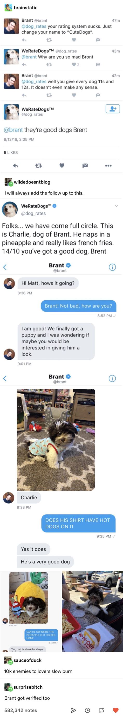 Character Arc R Tumblr