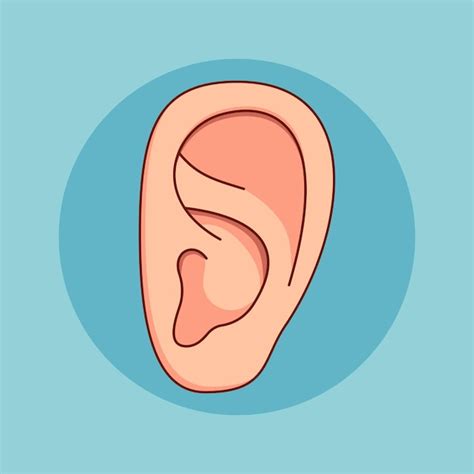Premium Vector Cute Human Ear Cartoon Illustration Icon Concept