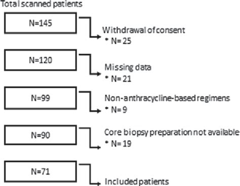 Figure 1 From The Clinical Importance Of Androgen Receptor Status In Response To Neoadjuvant