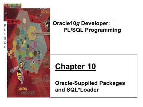 pl sqlpl sql oracle10g developer pl sql programming chapter 10 oracle