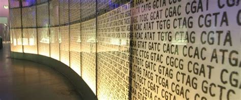 Top Tips For NGS Library Preparation