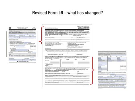 SOLUTION Revised Form I Studypool