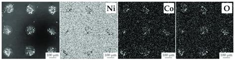 Printed Film Microstructure And Element Distribution Maps Ni Co And