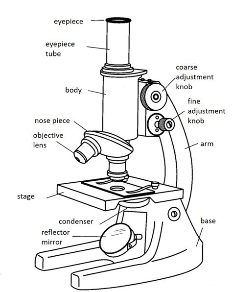 Instruments Used In Plant Pathology Lab Instruments Used In Plant Pathology Lab