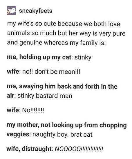 You Ve Destroyed Your Wife R Tumblr