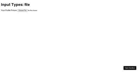 Input Types File Codesandbox