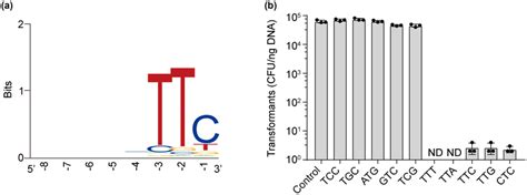 Functional Protospacer Adjacent Motif Pam Sequences For The Type I‐c Download Scientific