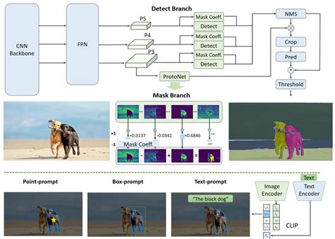Sam Fastsam Mobilesam 贝壳里的星海 博客园