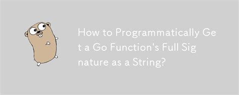 How To Programmatically Get A Go Functions Full Signature As A String Golang Phpcn