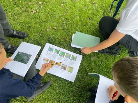 St Peter S C E Primary Babe Tree Species Mapping