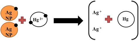 Biogenic Synthesis Of Silver Nanoparticles For Nanosensor‐based Mercury Detection Vanaja