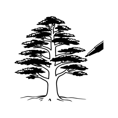Unique Outline Of Pencil Cedar Tree 57956727 Vector Art At Vecteezy
