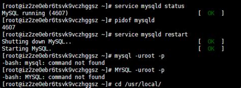 关于linux下mysql无法启动以及启动后无法登录问题 麒麟v 重启后 mysql 无法登陆 CSDN博客