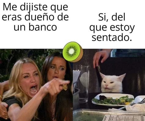 Foto. Los mejores memes del gato en la mesa y la mujer gritando