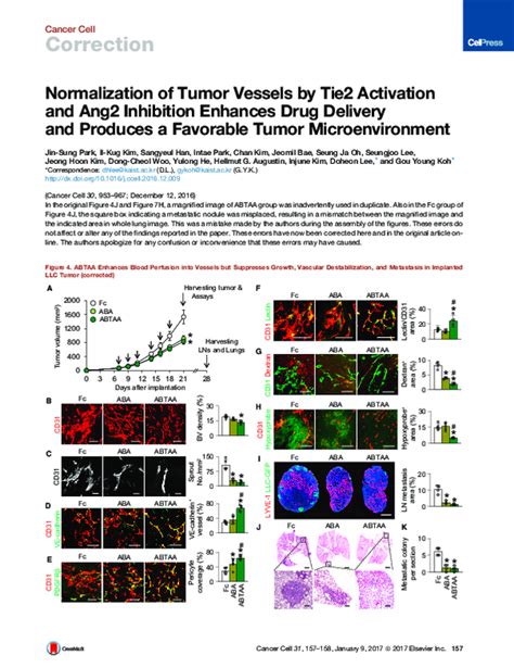 Pdf Normalization Of Tumor Vessels By Tie2 Activation And Ang2 Inhibition Enhances Drug