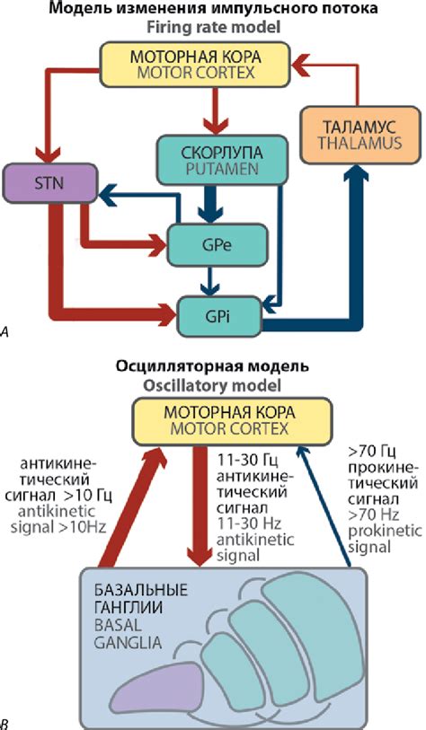 Diagrams Of Interactions Inside The Motor Control Systems For The Download Scientific Diagram