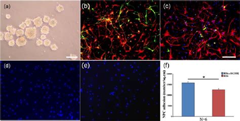 Figure 1 From Functionalized Self Assembly Polypeptide Hydrogel