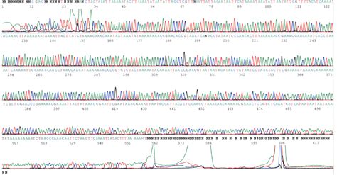 100 Questions With Answers In Bisulfite Sequencing Scientific Method