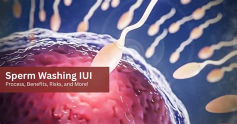 Sperm Washing IUI: Process, Benefits, Risks, and More!