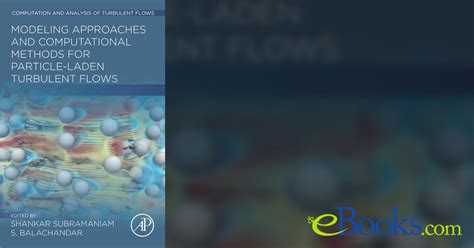 Modeling Approaches And Computational Methods For Particle Laden